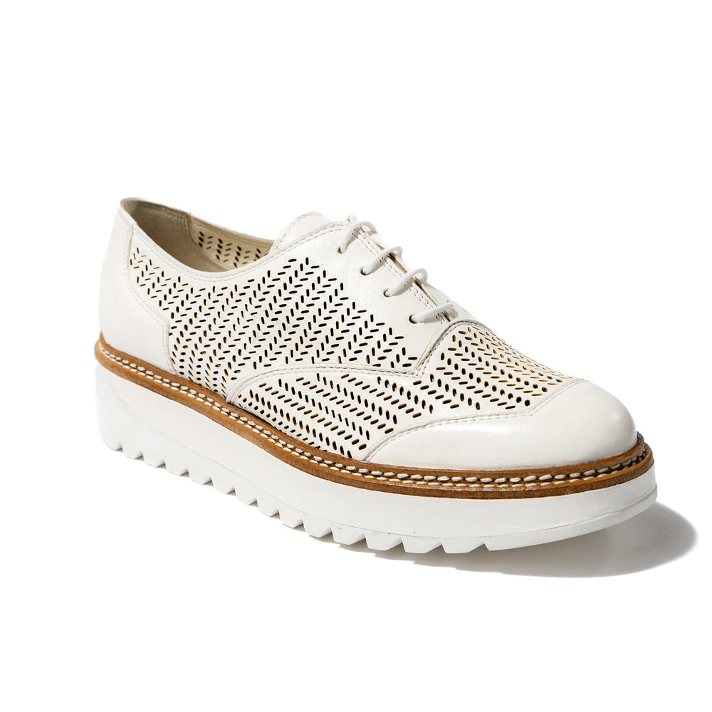 Collections – Rex Shoes