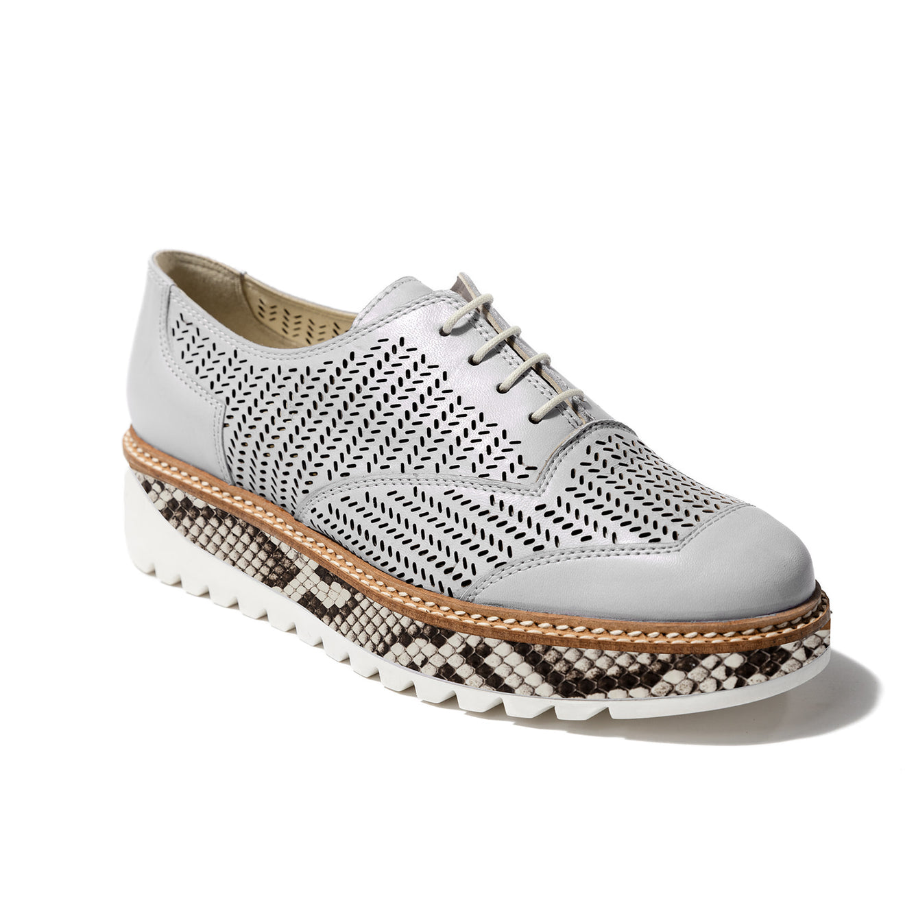 Collections – Rex Shoes