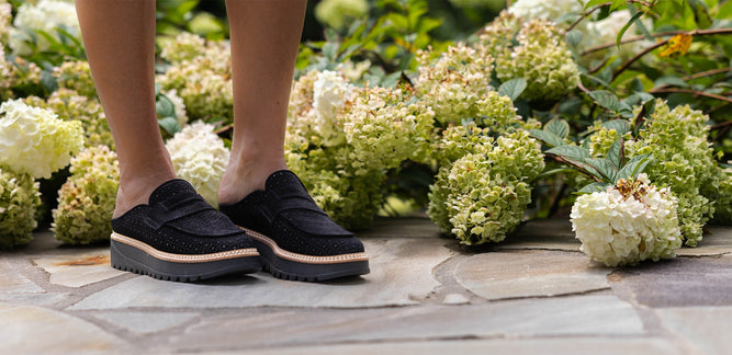Collections – Rex Shoes